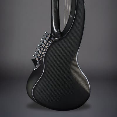 Synergy X20 | Carbon Fiber Harp guitar | Reverb