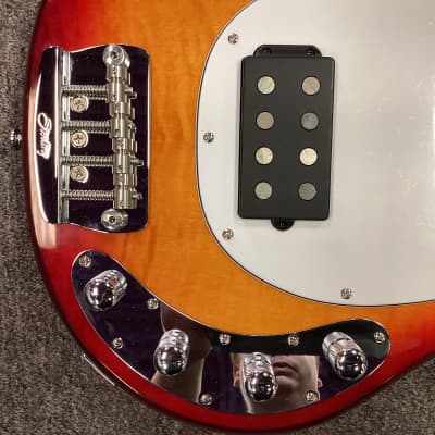 Sterling Sting Ray 34 FM Bass Guitar Loaded Body | Reverb