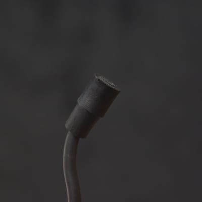 Microvox Mini Swan-Neck Strap on Microphone for Flute / | Reverb UK