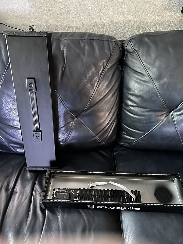 Erica Synths Skiff Case 2020s - Black | Reverb