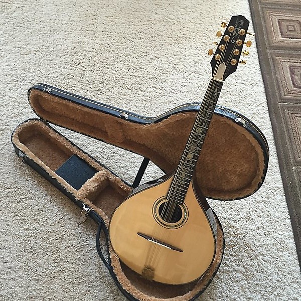 Gorgeous Ornately Inlayed Acoustic Octave Mandolin w/ Custom | Reverb