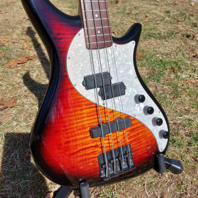 Pedulla Rapture 4-String Bass, AAA Flame Maple, Tobacco | Reverb