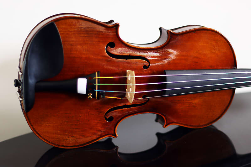 Plum Grove Music Burled Maple 4/4 Violin 2023 | Reverb