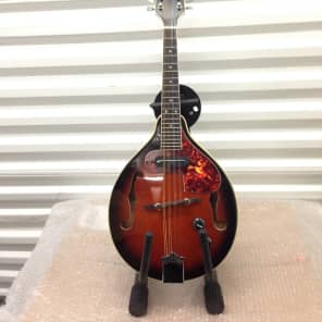 SAMICK SM20E Electric/Acoustic Mandolin Early 90's | Reverb