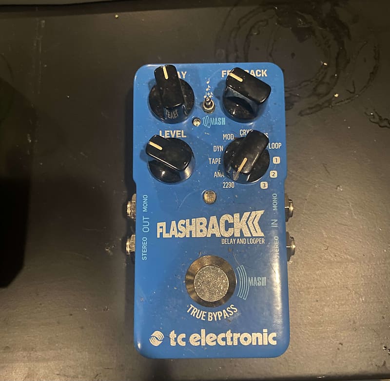 TC Electronic Flashback 2 Delay and Looper 2017 - Present - | Reverb