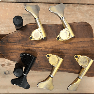 Warwick Infinity SN TCS 5 String | Reverb