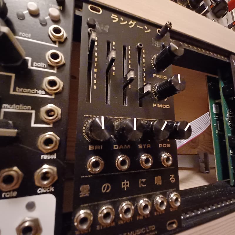 Big T Music RANGOON (Mutable Instruments Rings Clone) | Reverb