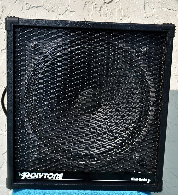 Polytone Mini Brute Extension Speaker - Black | Reverb
