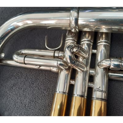 Flugelhorn Fliscorno Stomvi Elite | Reverb