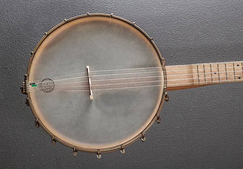Possum 5 String Banjo '20 | Reverb