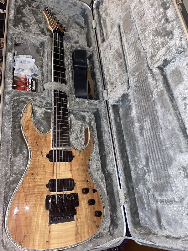 B.C. Rich Shredzilla Prophecy Archtop with Floyd Rose | Reverb