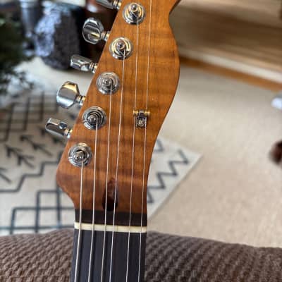 Thinline Tele SG Hybrid Semi Hollow Guitar Alnico II pickups | Reverb