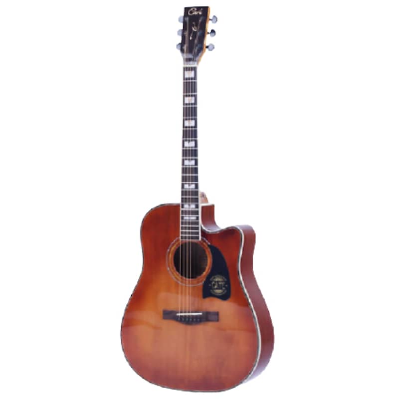 Cate QM-717 Retro Finish Acoustic Guitar | Reverb