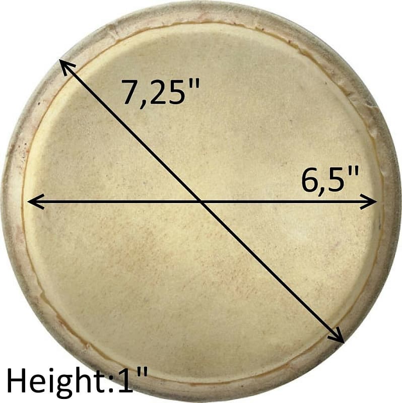 Stagg 6.5" Inch Real Thin Skin Head Replacement For Bongo | Reverb