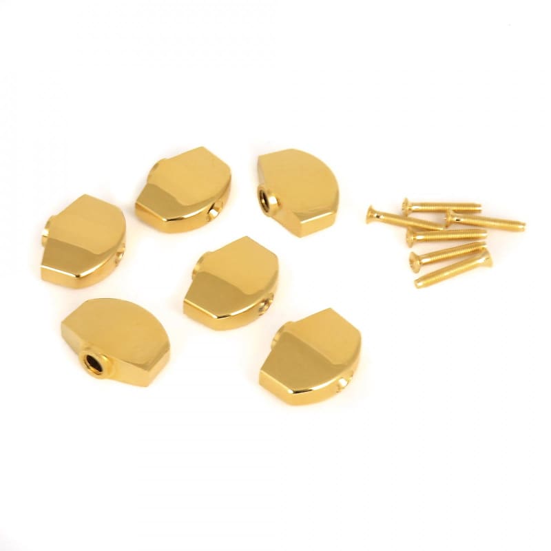 Schaller M6 Tuner Button, Large - Gold | Reverb