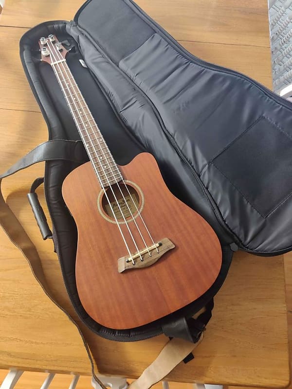 Gold Tone MicroBass Short-Scale Acoustic Electric Bass With | Reverb