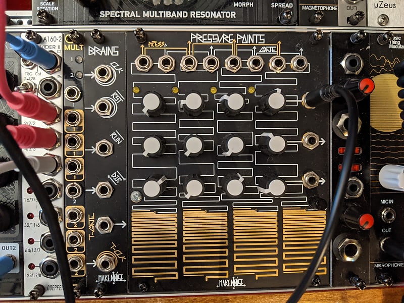 Make Noise Pressure Points and Brains | Reverb