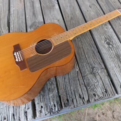 Ernie Ball Earhtwood 12 String Acoustic Guitar Uber Rare 70s | Reverb