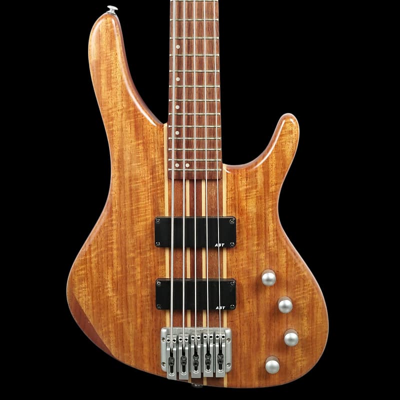 Washburn Force ABT Series 5 String Bass | Reverb
