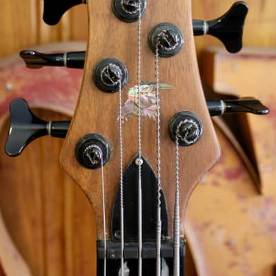 Raven West Guitars RBS 5500 LEFTY 5 STRINGS | Reverb