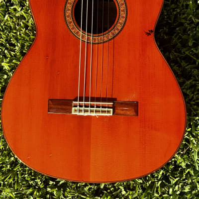 Vintage Yamaha GC5 1969 Concerto Classical Guitar With Case- | Reverb