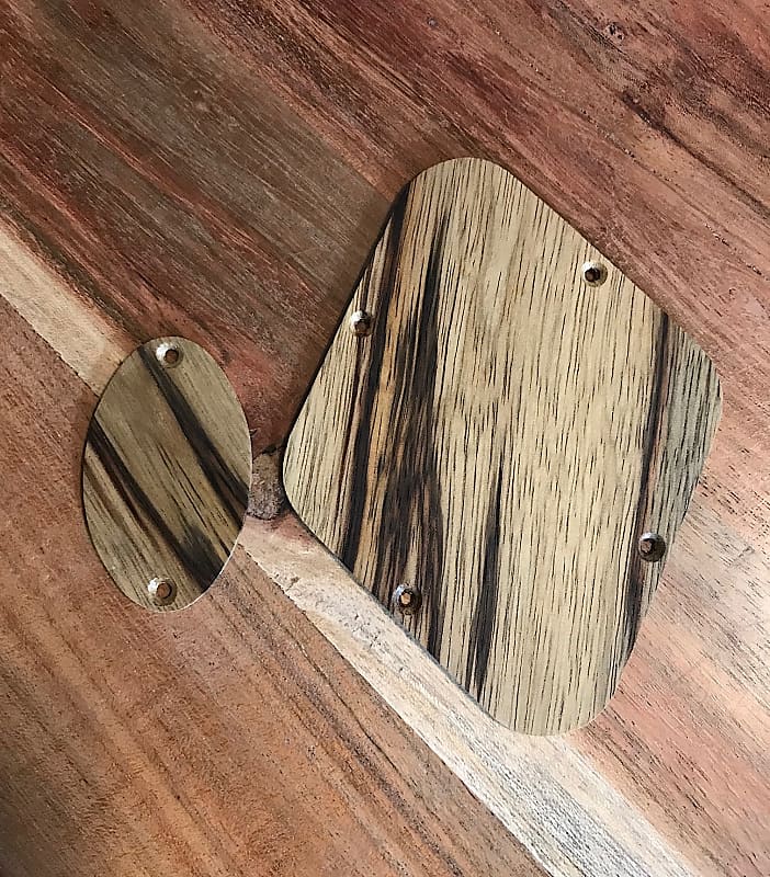 Custom-Made Back Plate Set For PRS "Paul Reed Smith" 594 | Reverb