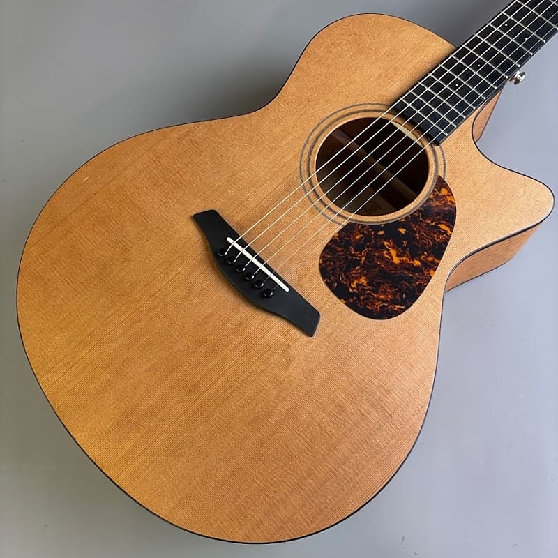 Furch Blue Gc-CM | Reverb