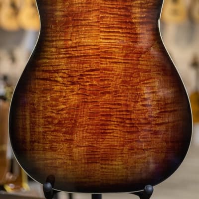 National Scheerhorn L-Body Figured Maple - Scheerhorn Deluxe | Reverb