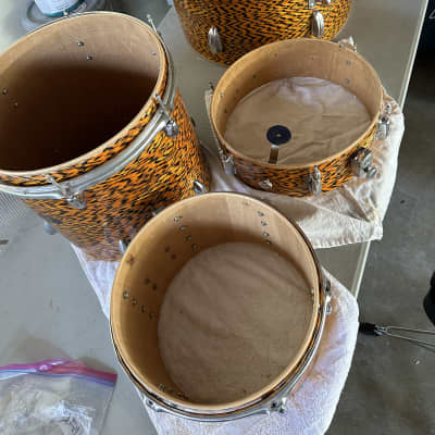 Astro vintage MIJ Pearl stencil kit 60’s/70’s - tiger wrap | Reverb