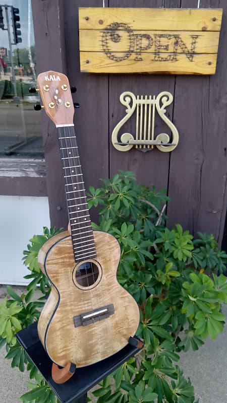 Kala KA-MNGG-C All Solid Curly Mango Metropolitan Concert | Reverb