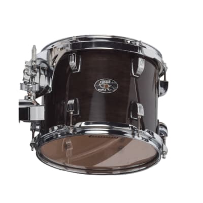 Ludwig Evolution Maple 8x10" Rack Tom | Reverb