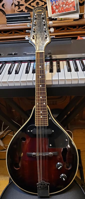 Bestler M5 Acoustic Electric Mandolin with Case | Reverb