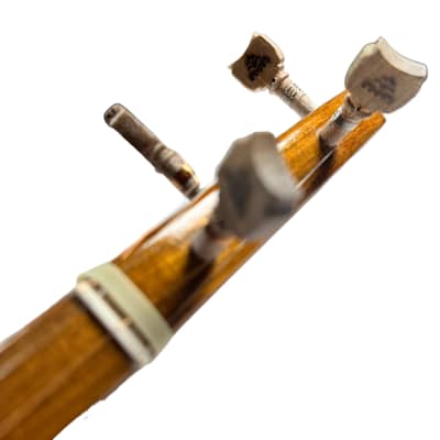 Professional Persian Setar string Musical Instrument | Reverb