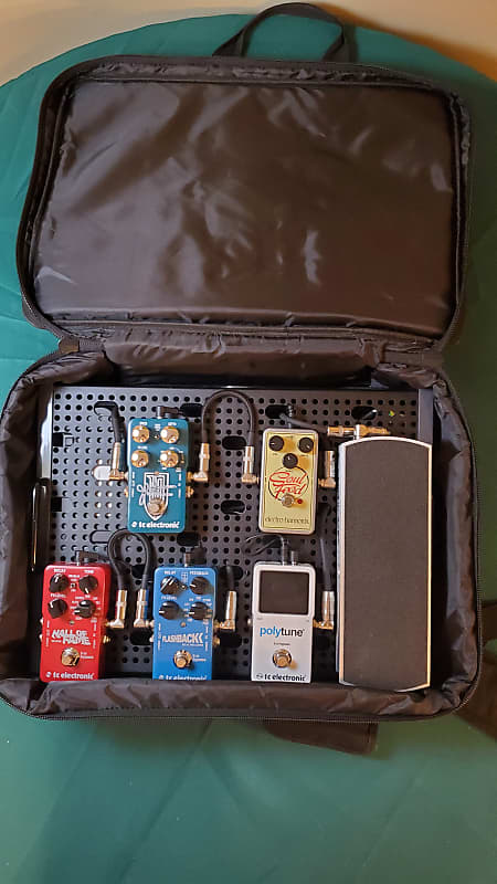 Temple Audio Board w/6 pedal, power brick & case Duo 17 2020 | Reverb