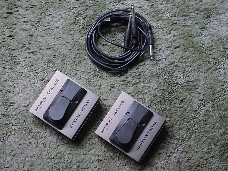 Used Soundking SKAL308 sustain pedal with cables - lot of 2 | Reverb
