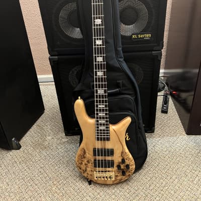 Spector European 5LX 2024 - Clear | Reverb