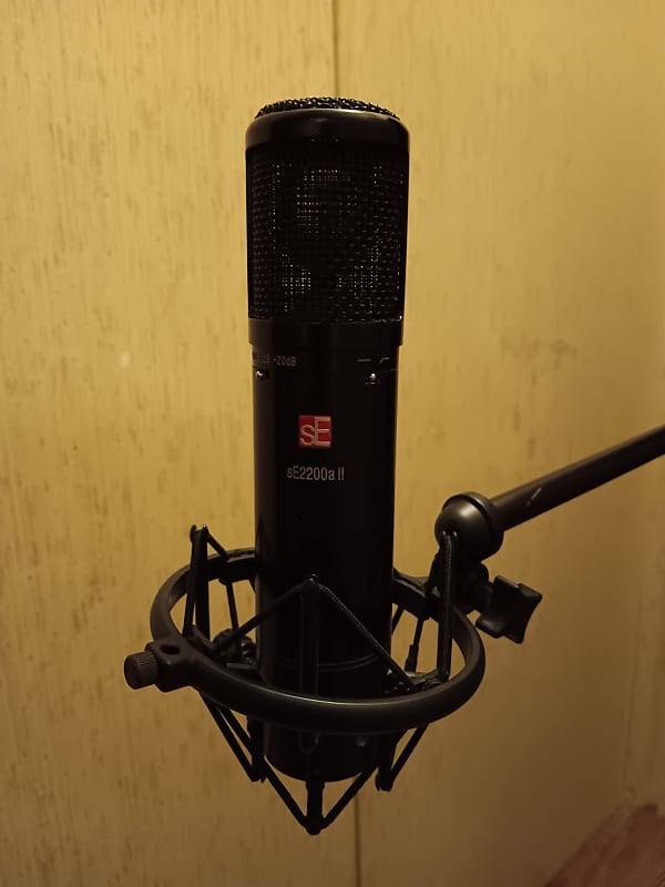 sE 2200a II mid 2010s - Black | Reverb