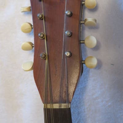 Bruno Lyra Brand Mandolin 1940's? | Reverb