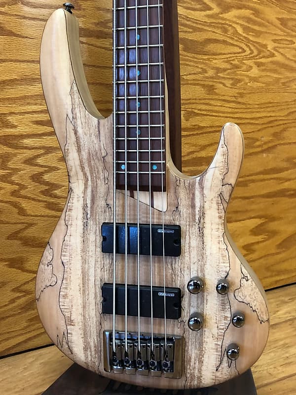 ESP LTD B-205SP | Reverb