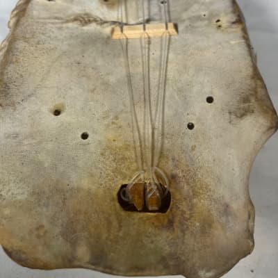 Native Guitar, Uke 3 String Turtle Shell Stringed Folk | Reverb