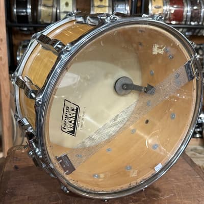 Ludwig Coliseum 1981 Thermogloss 8"x14" Snare Drum | Reverb