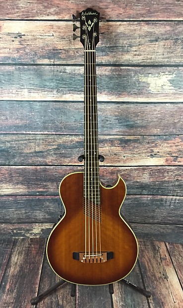 Washburn AB-25 Thin Body acoustic electric 5 string bass | Reverb