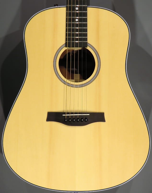 Seagull Maritime SWS Natural AE 2021 Semi-Gloss | Reverb