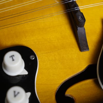 Greco Electric Mandolin, Super Rare | Reverb