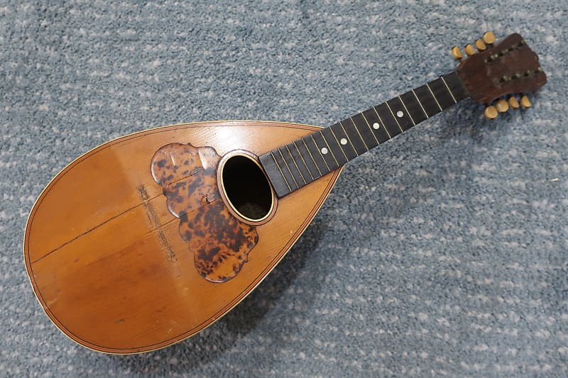 Vintage 1900s Washburn Mandolin Bowlback Project Weymann | Reverb