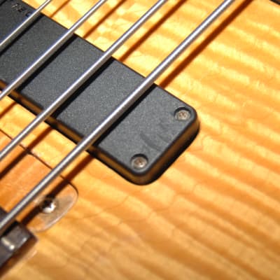 1993 Scott Ambush 5-String Bass | Reverb