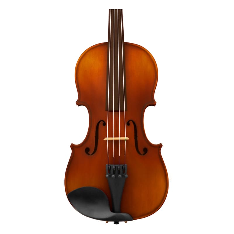Maple Leaf Strings Model 120 Violin Outfit - 3/4 Size | Reverb