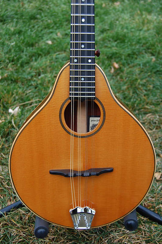 Beard Celtic Mandolin | Reverb