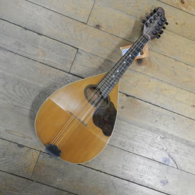 Vintage Stadium Mandolin • Blonde Birch • Regal/Harmony | Reverb