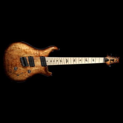 PRS Private Stock 7-string Multi-Scale | Reverb